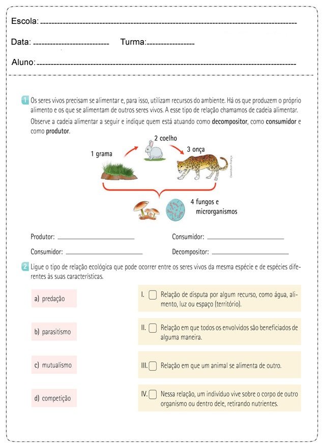 Atividade De Ciencias Ano Cadeia Alimentar Educa Sexiezpix Web Porn